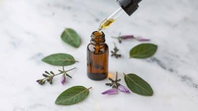 Explore Holy Basil Oil: Ancient Remedy for Modern Minds